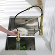 Genova Commercial Style Single Handle Pull Down Kitchen Sink Faucet