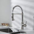 Genova Commercial Style Single Handle Pull Down Kitchen Sink Faucet