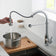 Genova Commercial Style Single Handle Pull Down Kitchen Sink Faucet